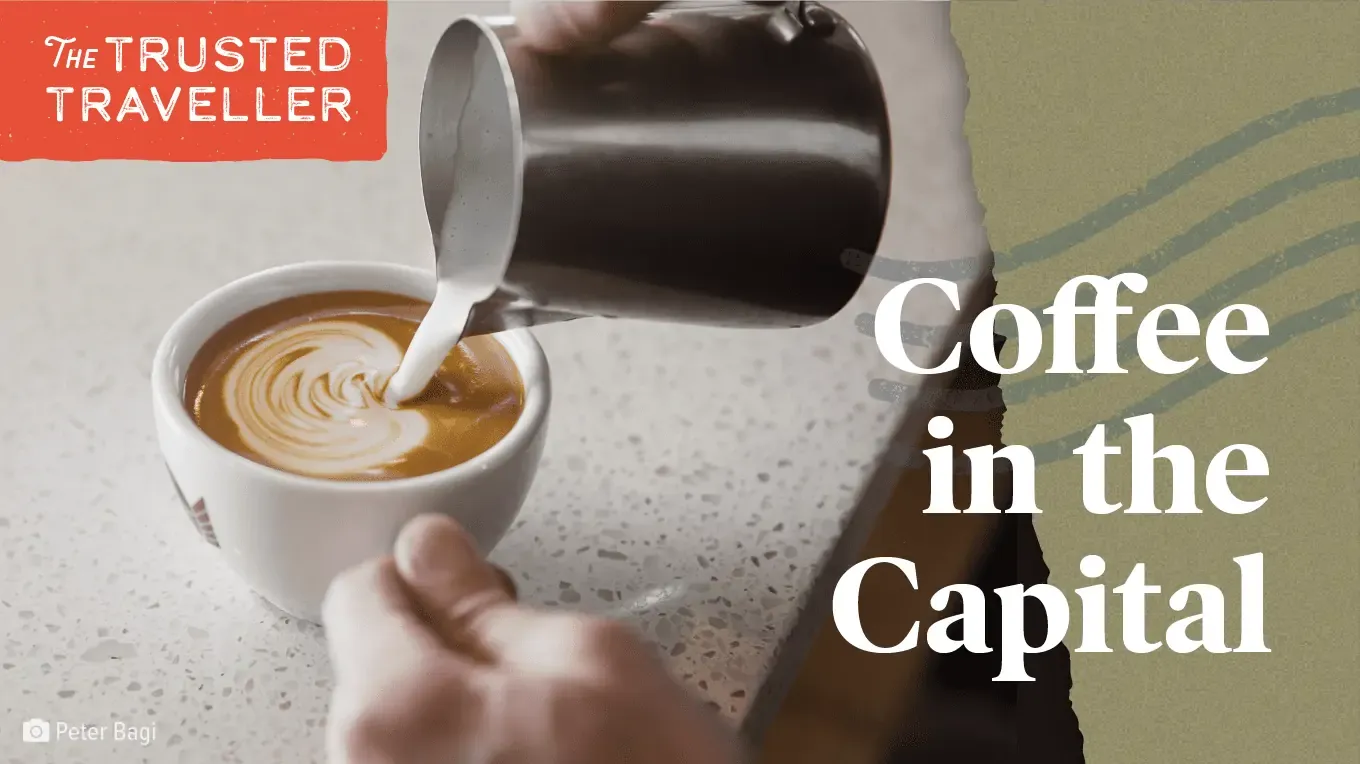 Victoria BC coffee shop guide – top 5 cafés to visit