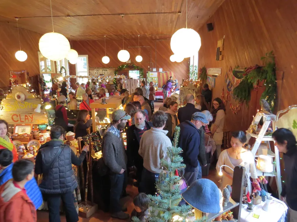 Harbour Air | Holiday Magic on BC's West Coast