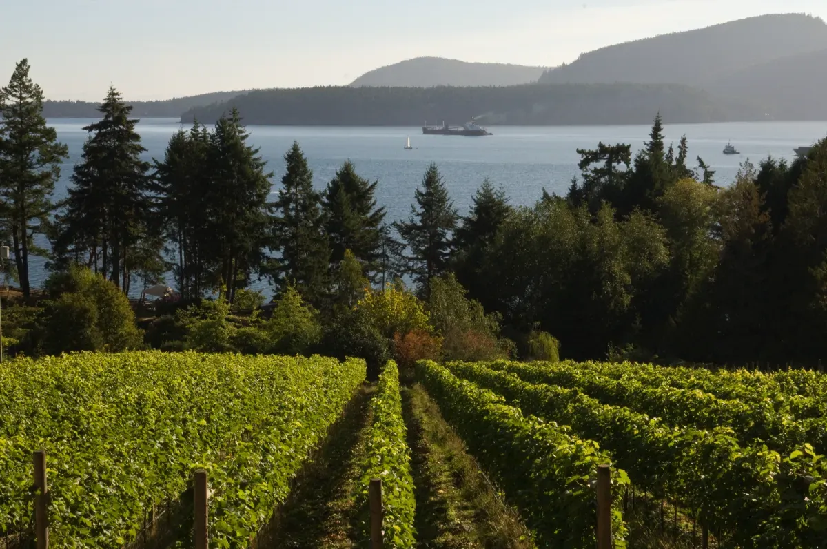 Harbour Air | Best Private Seaplane Charter Destinations in BC